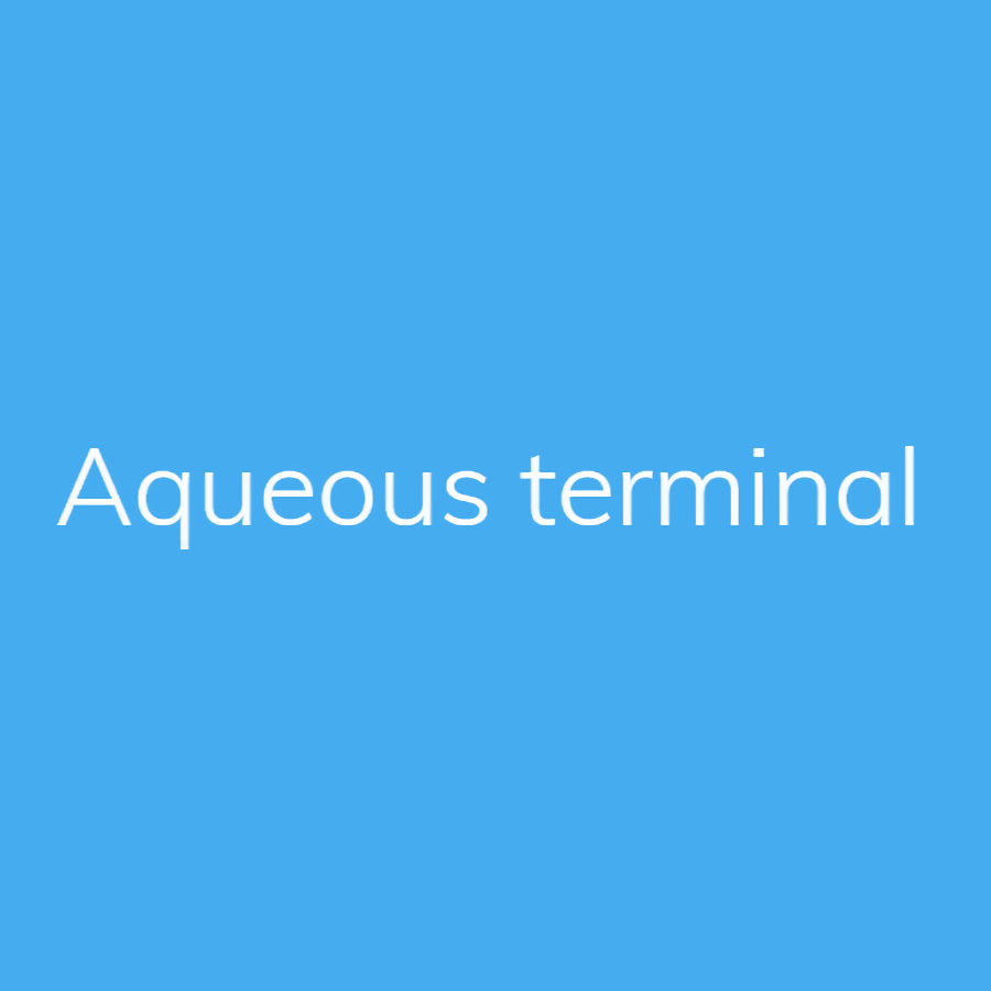 Aqueous terminal
